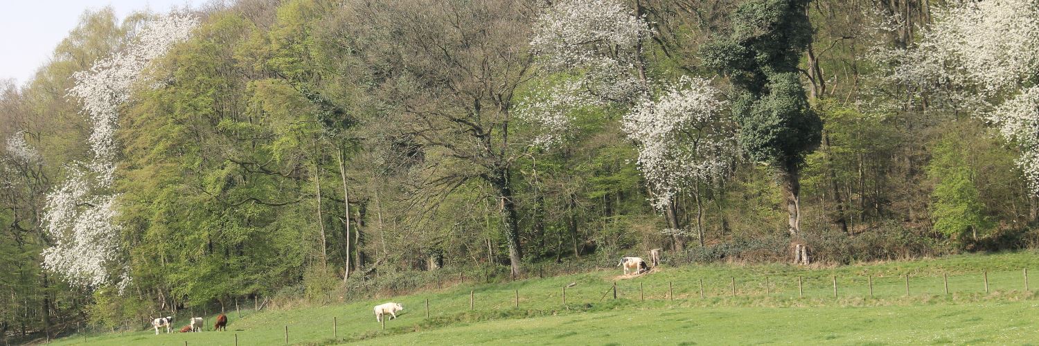 Nhgl - Natuurhistorisch Genootschap in Limburg